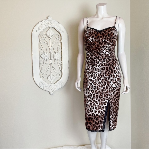 Boston Proper | Dresses | Boston Proper Leopard Print Lace Corset Dress ...